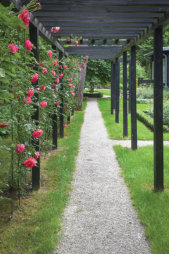 Różane królestwo | Weranda.pl